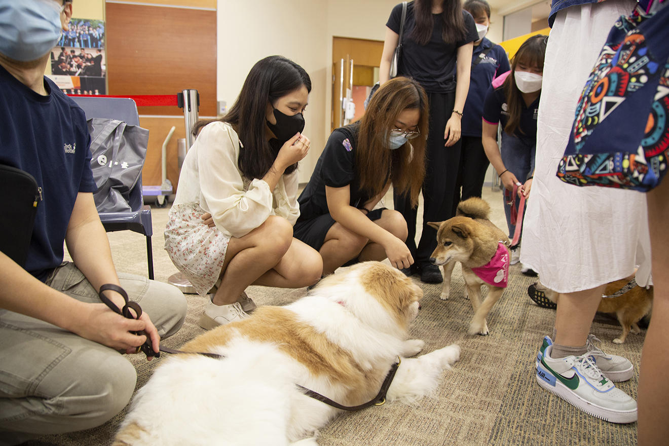 New Student Orientation - Student Development - College of International Education - Hong Kong ...